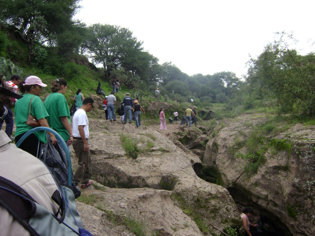 Ecologistas se oponen a urbanización del bosque de Cobos - LJA.MX ...