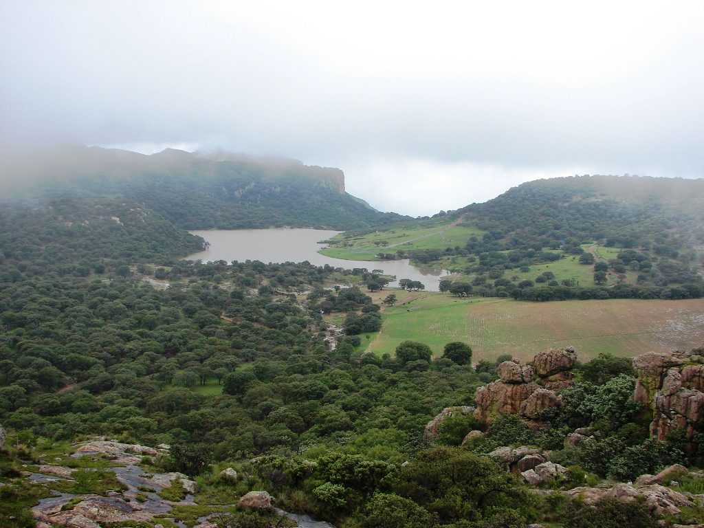 Aguascalientes declara Área Natural Protegida a la Sierra de Laurel ...