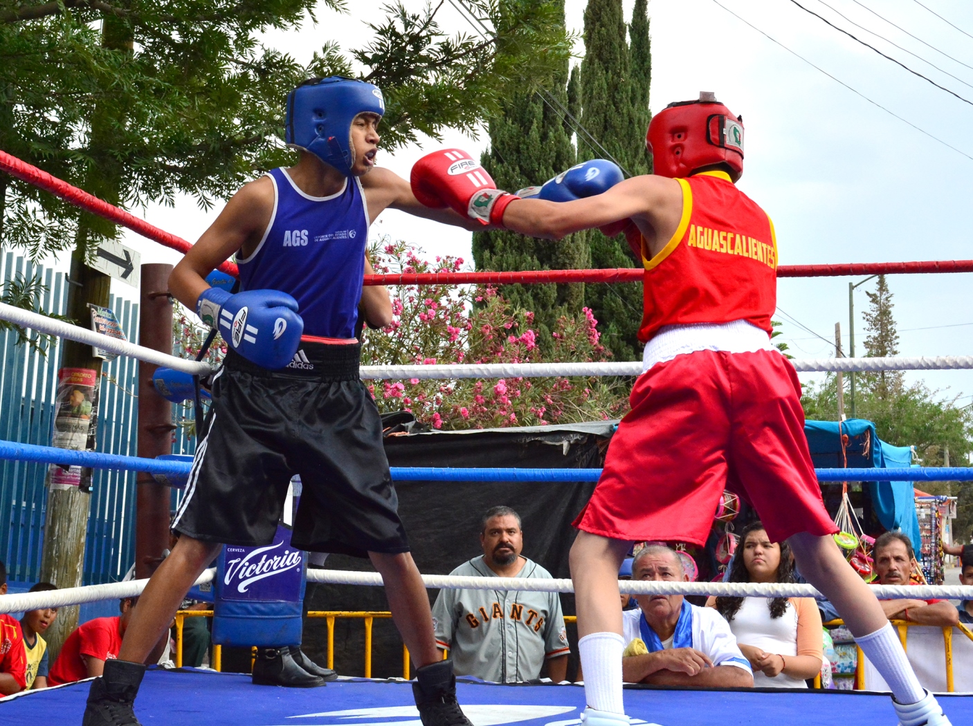 Llega a su etapa final la Liga Estatal de Box - LJA Aguascalientes
