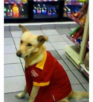 Esto es México Mágico: Los momentos más random en las tiendas Oxxo ...