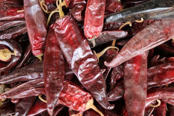 Productores de chile en Aguascalientes dan valor agregado a su cosecha ...