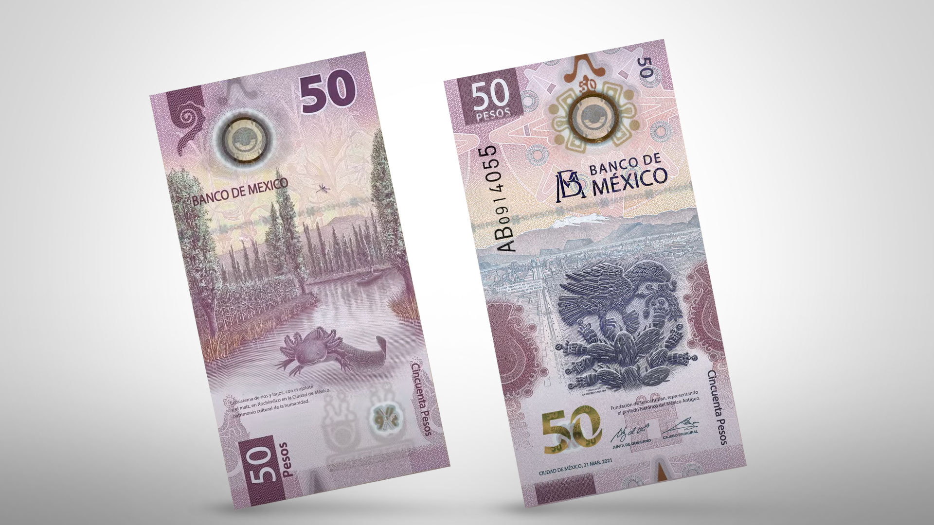 Datos curiosos que no sabías sobre el nuevo billete de 50 pesos - LJA ...
