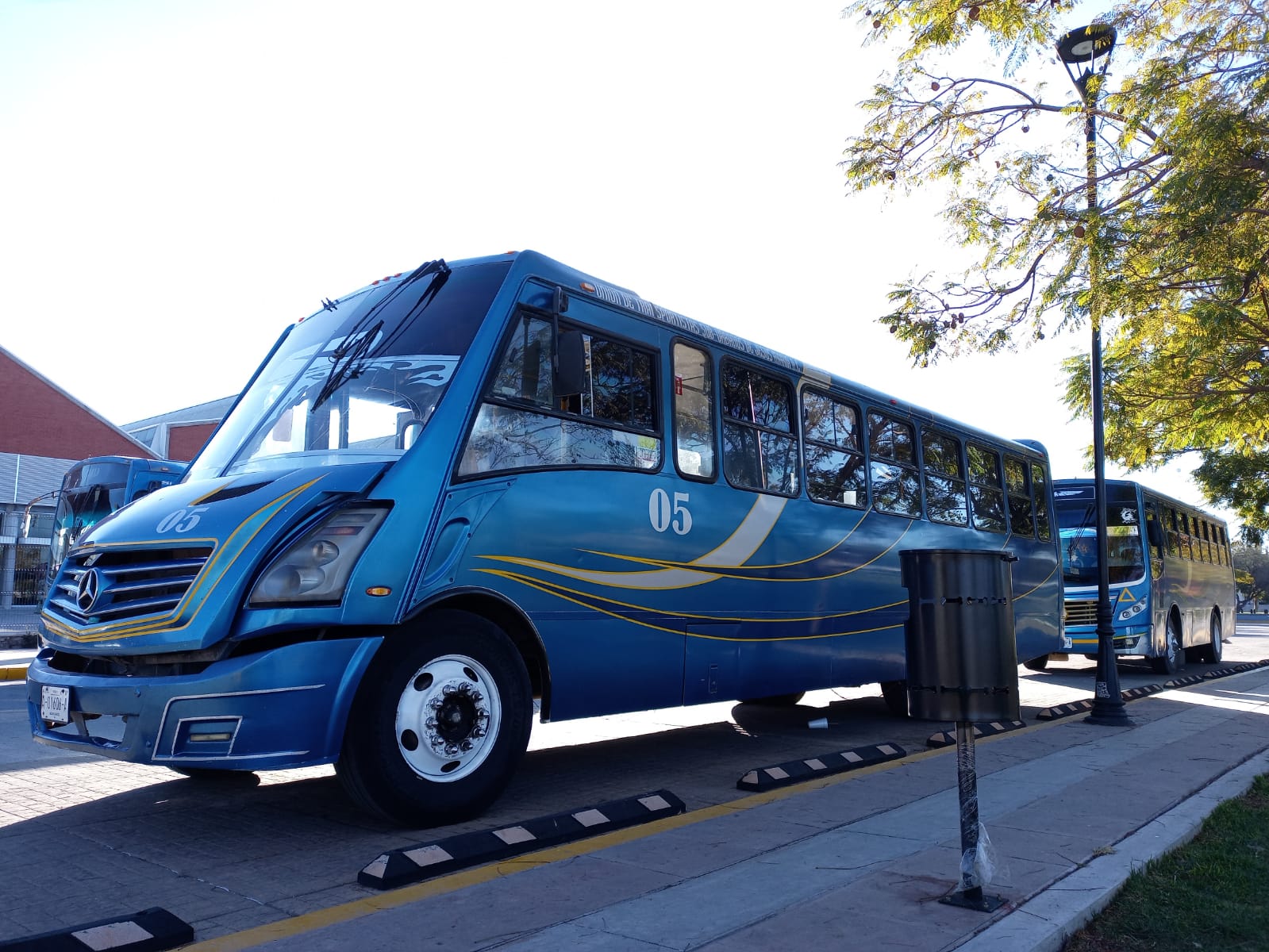 Tres nuevas rutas de transporte público Los Brujos comenzarán a ...
