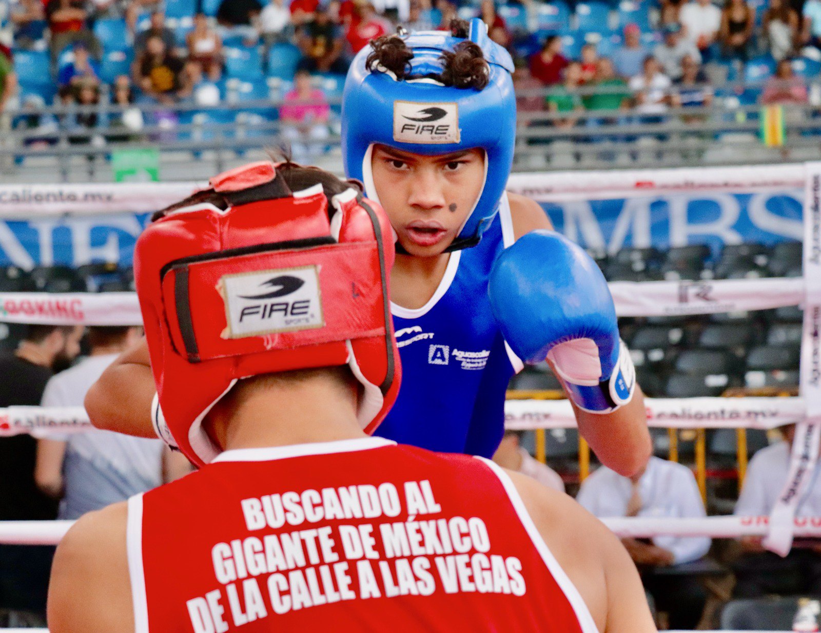 Avanzan eliminatorias del torneo de box “Buscando al Gigante de México ...