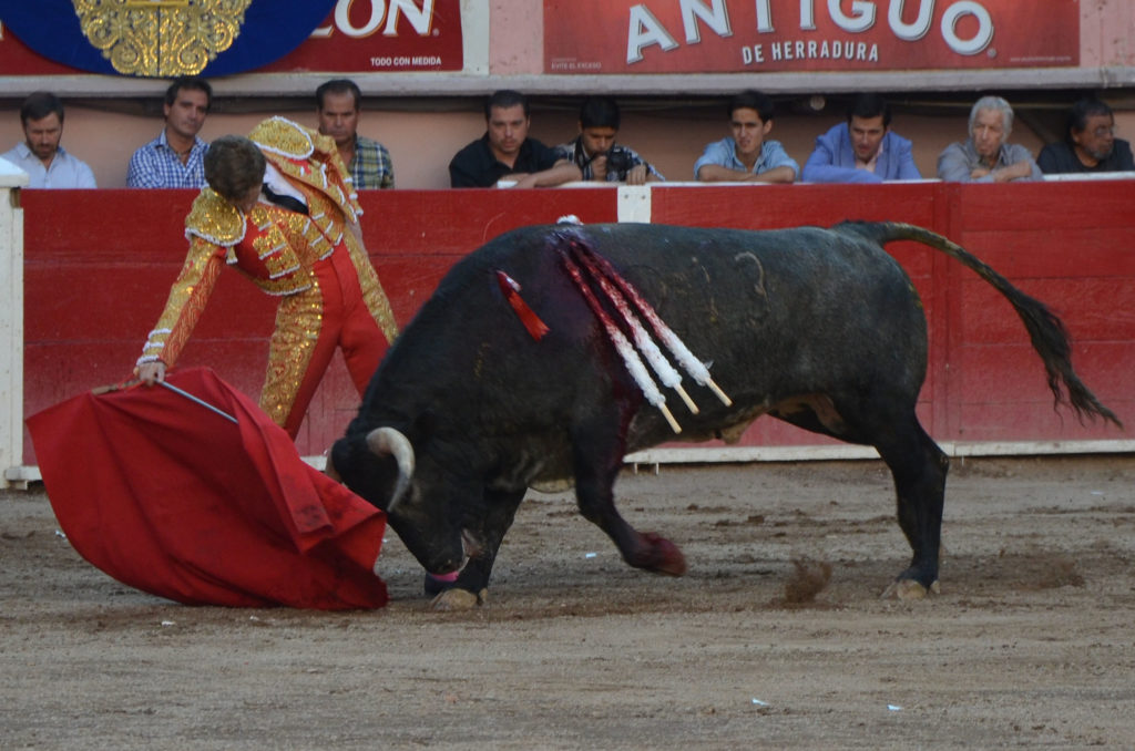 Corridas de toros están garantizadas para la Feria Nacional de San ...