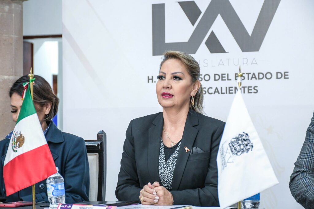 ¿Quién es Chuya Díaz? La candidata a senadora por el PAN en ...