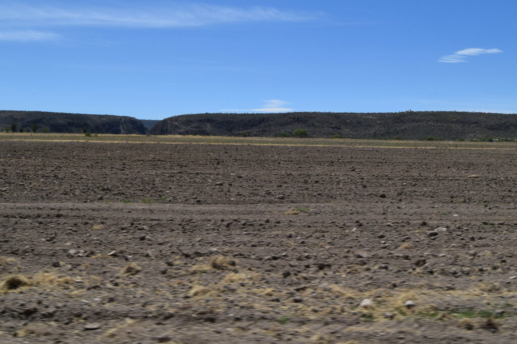 Calvillo, San José de Gracia, Pabellón y Jesús María con sequía extrema ...