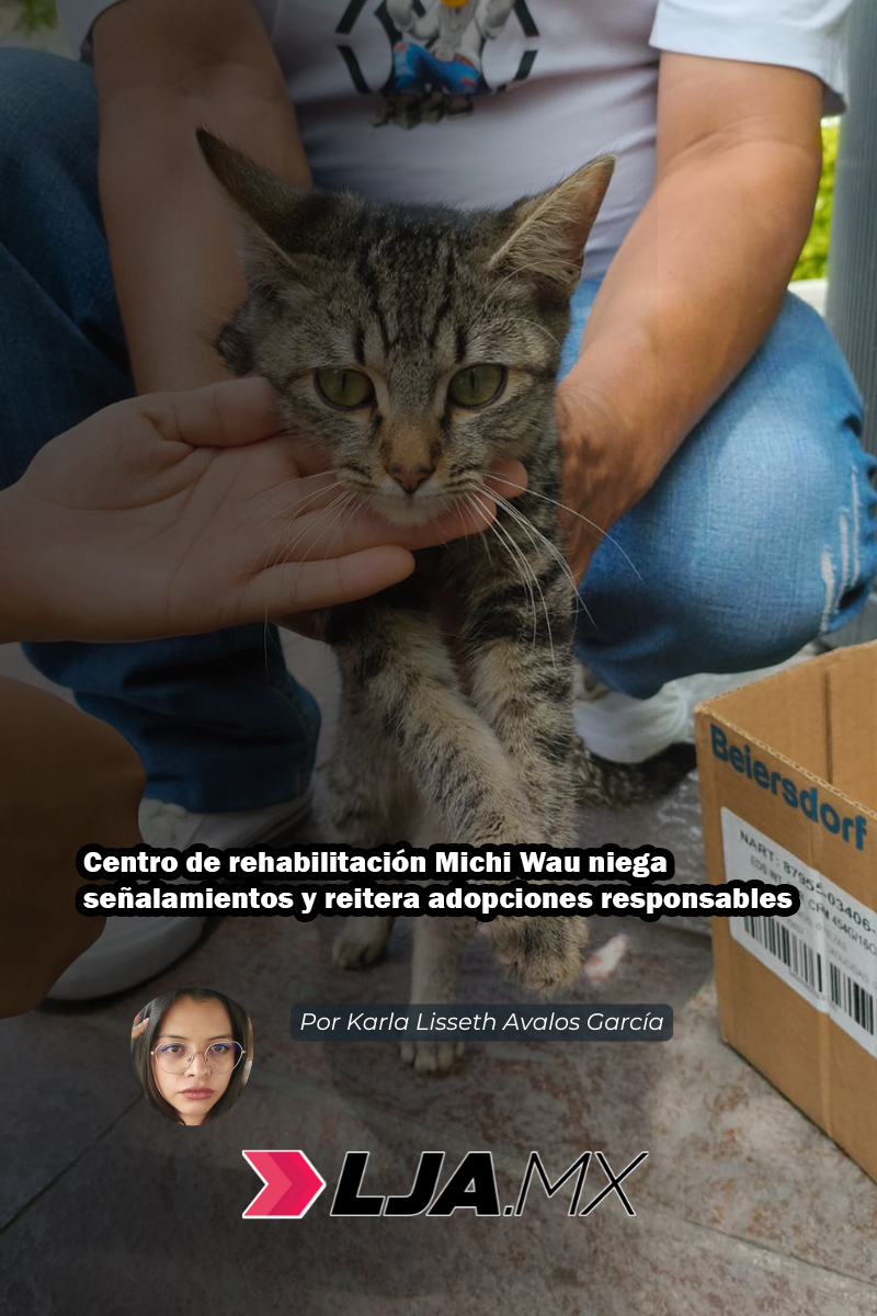 Centro de rehabilitación Michi Wau niega señalamientos y reitera ...