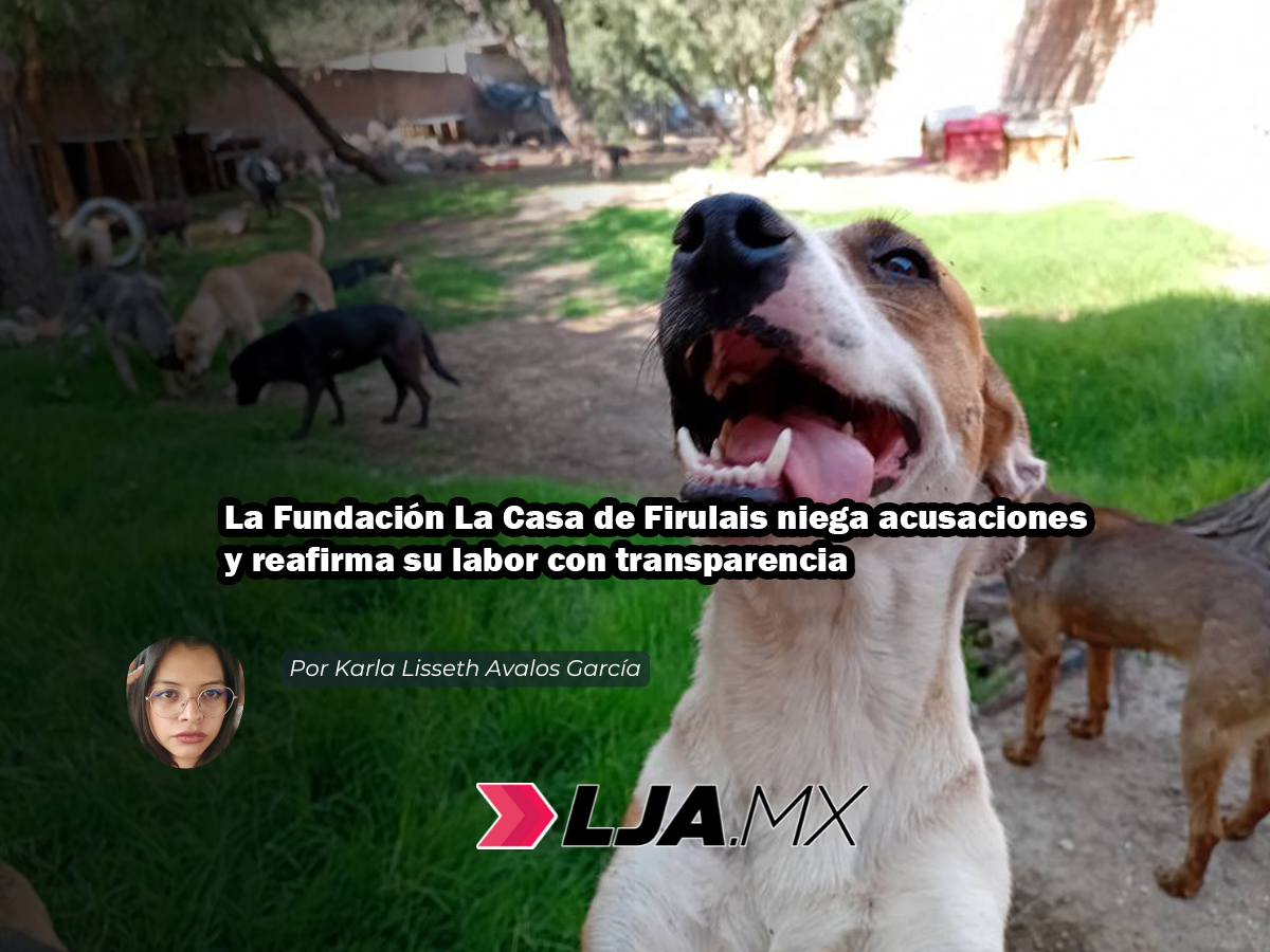 La Fundación La Casa de Firulais niega acusaciones y reafirma su labor ...